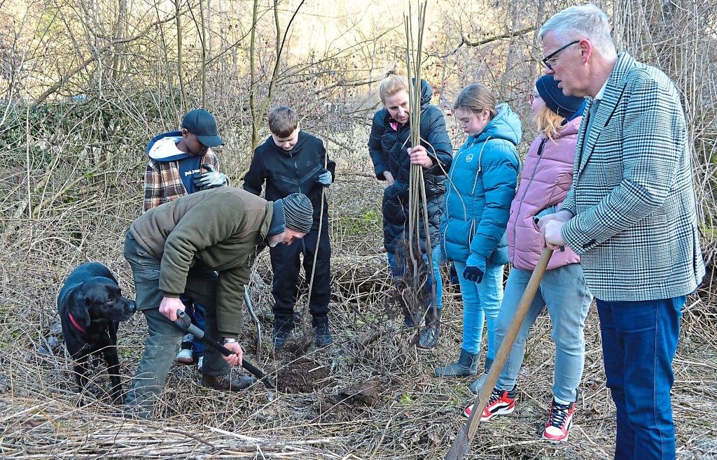 Schüler der Staatlichen Realschule Riedenburg pflanzen Schwarzpappeln in Prunn