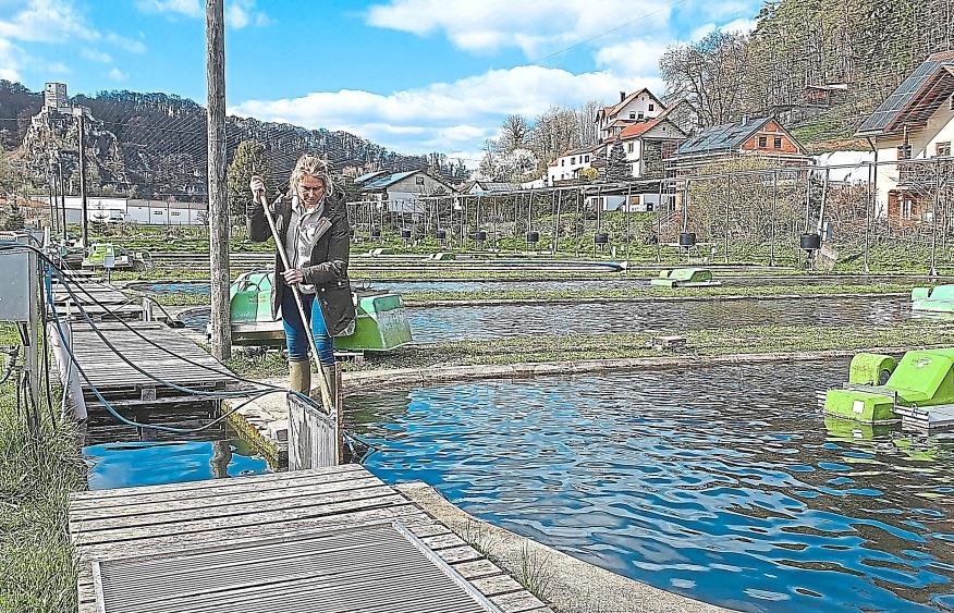 Wellheimer Forellenzucht wurde saniert und erweitert – Jetzt mit eigenem Laden und einem Bistro