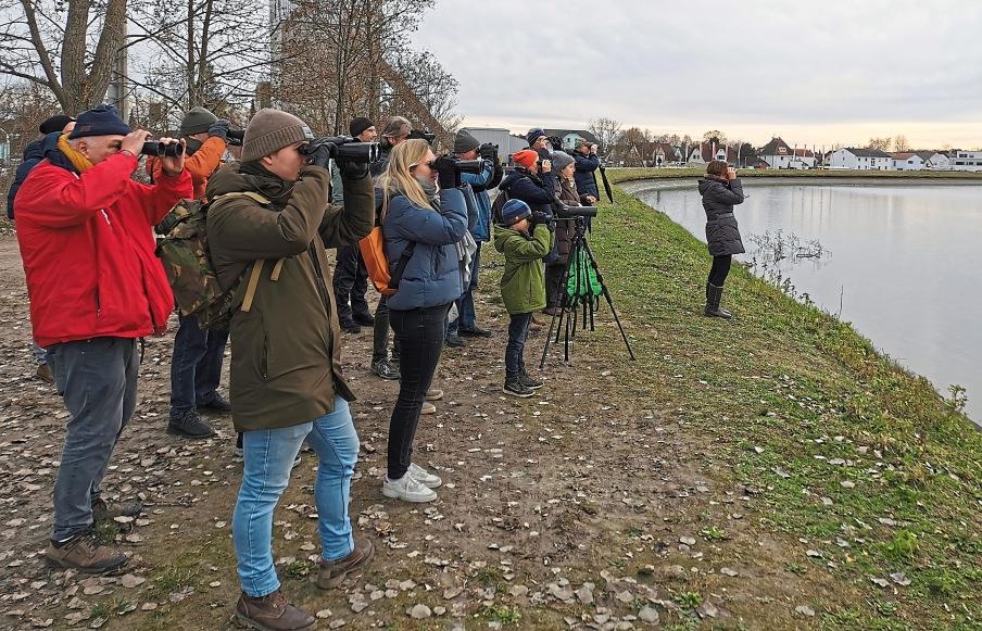 Norbert Model vom LBV erzählt von Enten, Möwen und Rallen