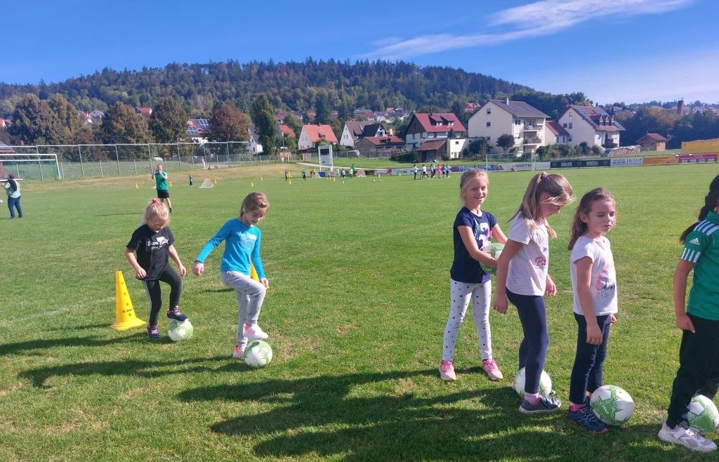 Gredinger Grundschule ist jetzt Sport-Grundschule