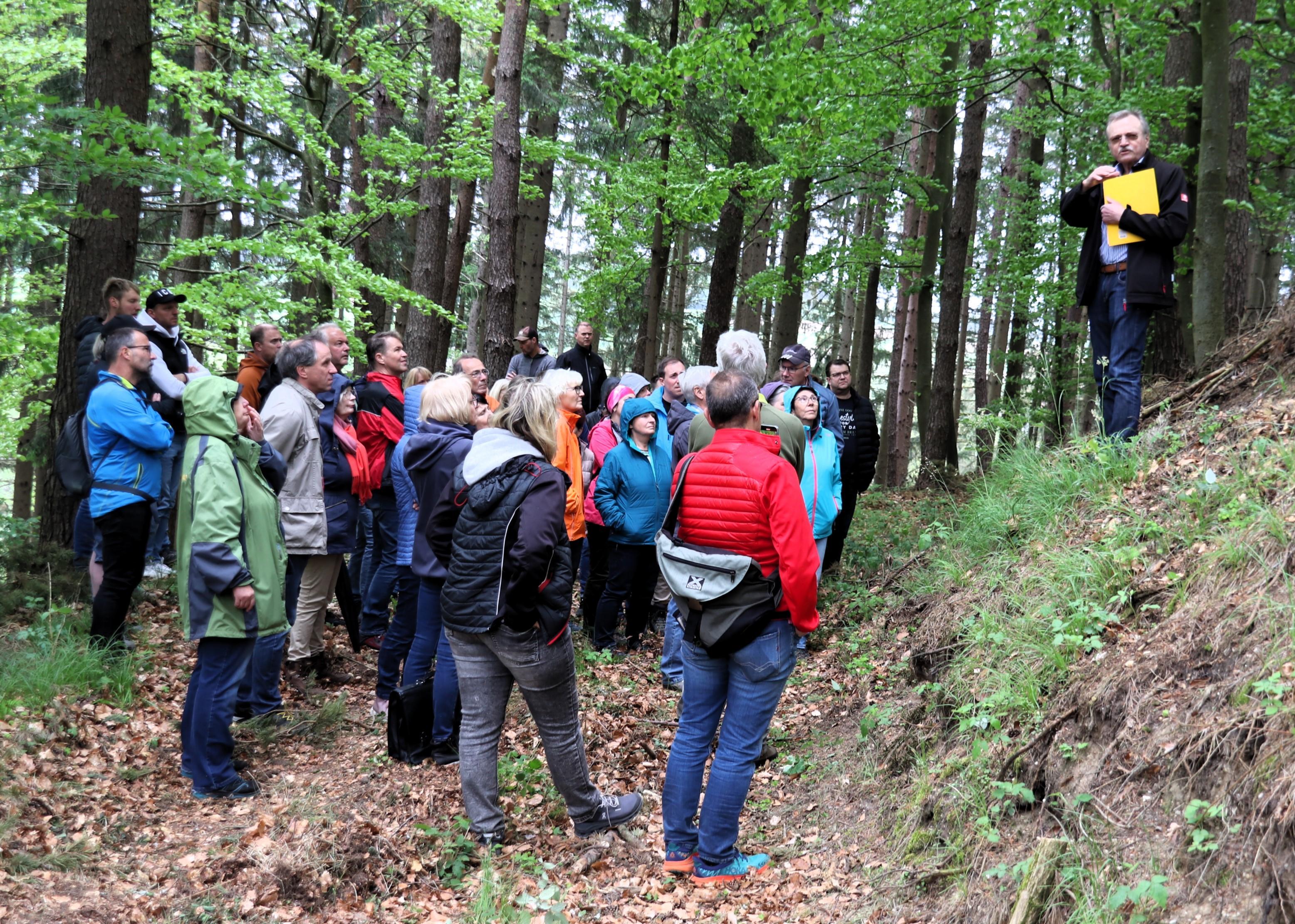 Wo einst Kelten siedelten