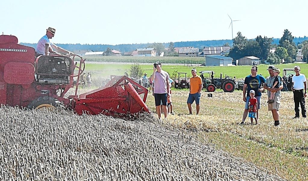 Feldarbeit wie in früheren Zeiten: Historischer Landwirtschaftstag in ...