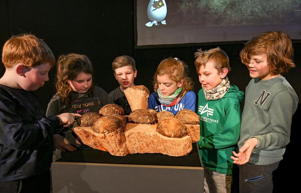 Dinosauriermuseum Altmühltal zeigt Sonderausstellung über den Nachwuchs ...