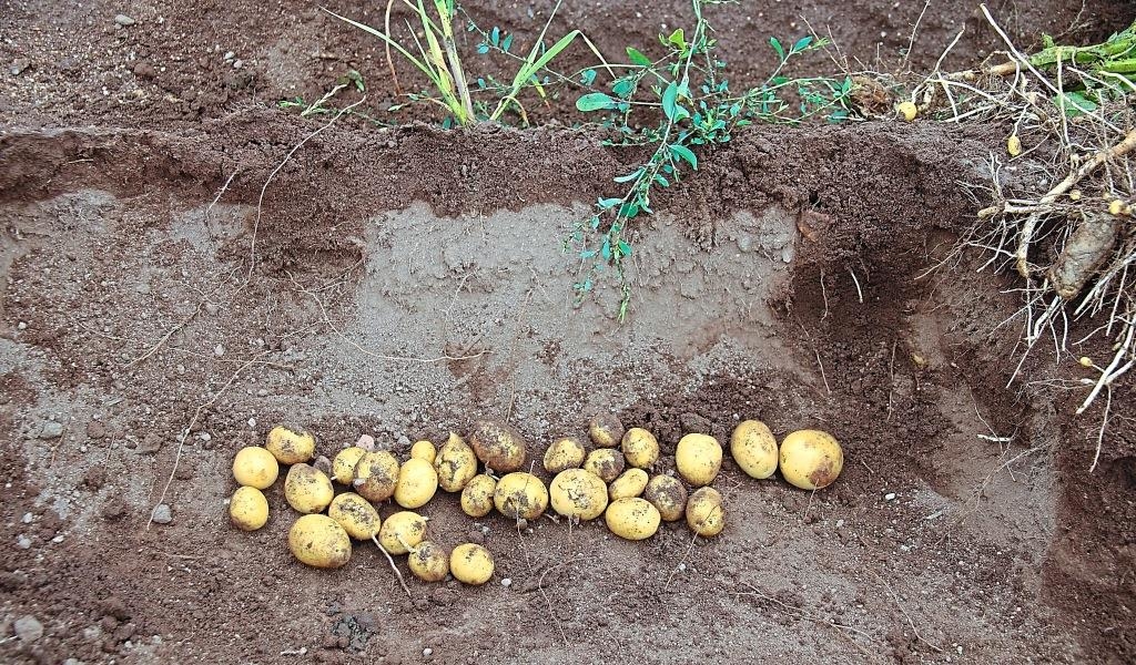 Hayley randall naked she understands how to maintain a