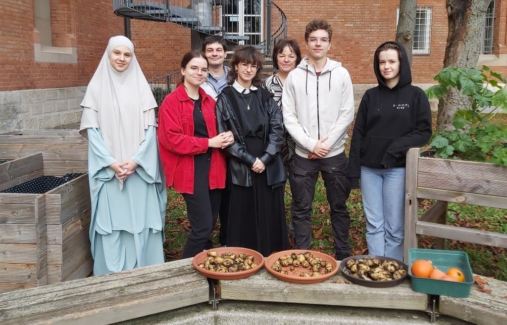 FOS/BOS Ingolstadt ist „Umweltschule in Europa“