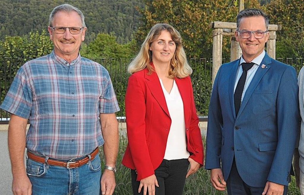 Schulsanierung: Entscheidung für Biomasse
