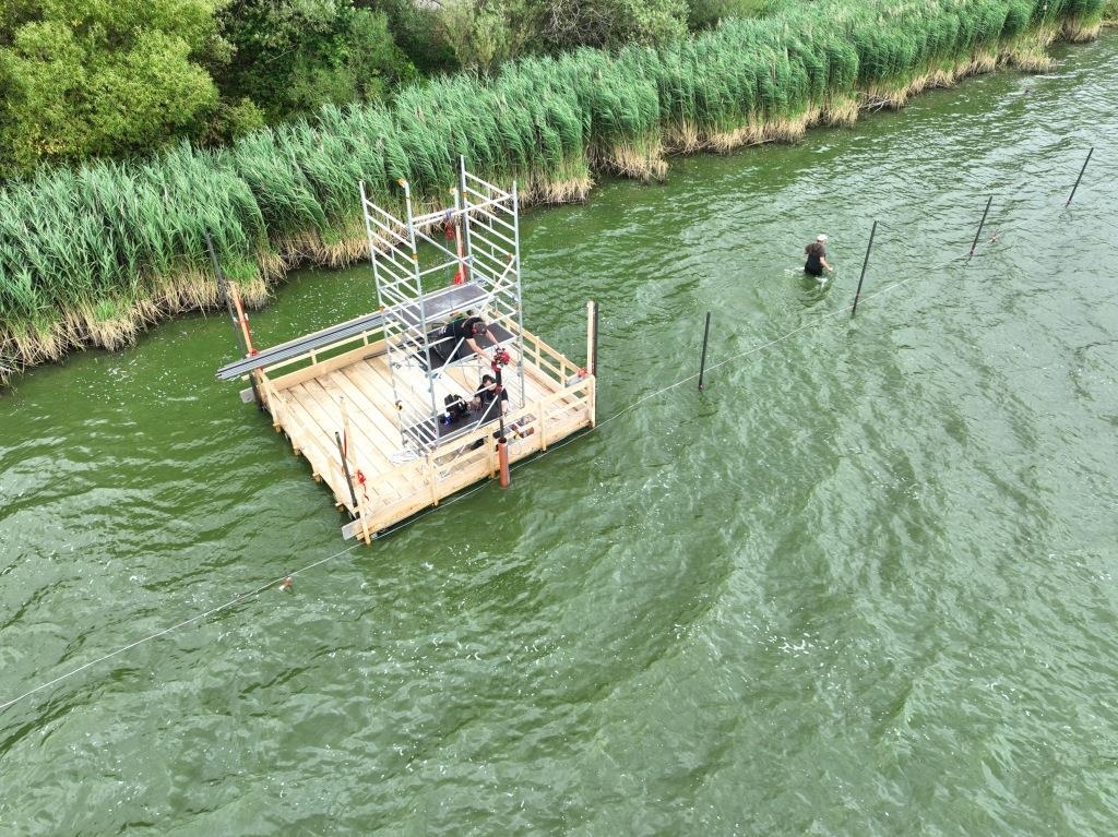Schmierige Angelegenheit: Blaualgen halten sich hartnäckig in ...