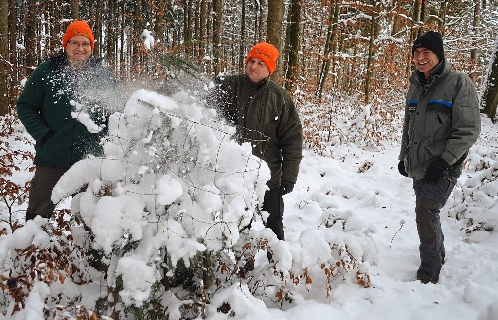 Herbert und Alexander Riepl aus Riedenburg bekommen Staatspreis für ...