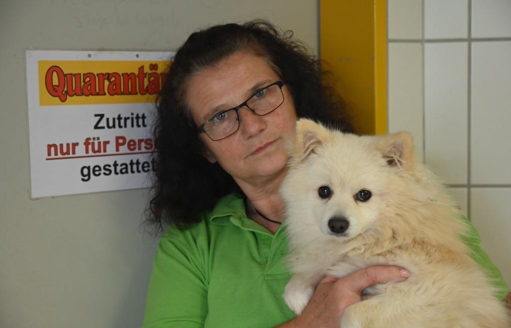 Ausgesetzter Hund im Tierheim Roth – Tierheimchefin empört sich über ...