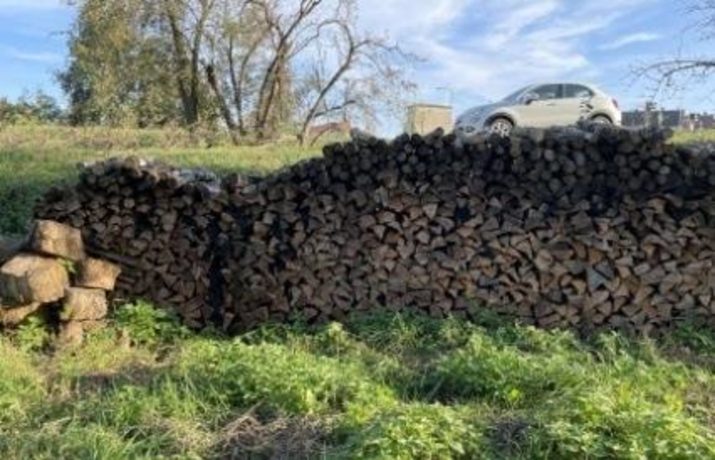 Mit öliger Flüssigkeit übergossen: Unbekannter vernichtet 15 Ster Brennholz