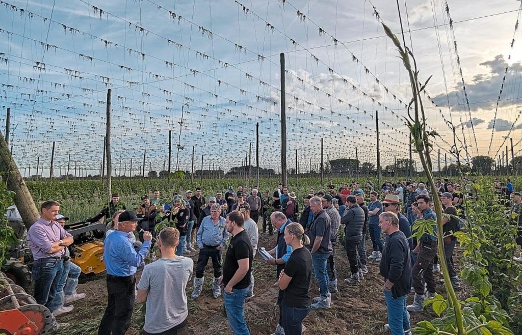 Hopfenbauern testen Roggen, Wicke und Klee für mehr Humus