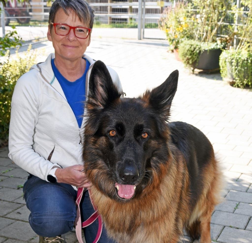 Rosa aus Pfaffenhofen sucht eine neue Familie