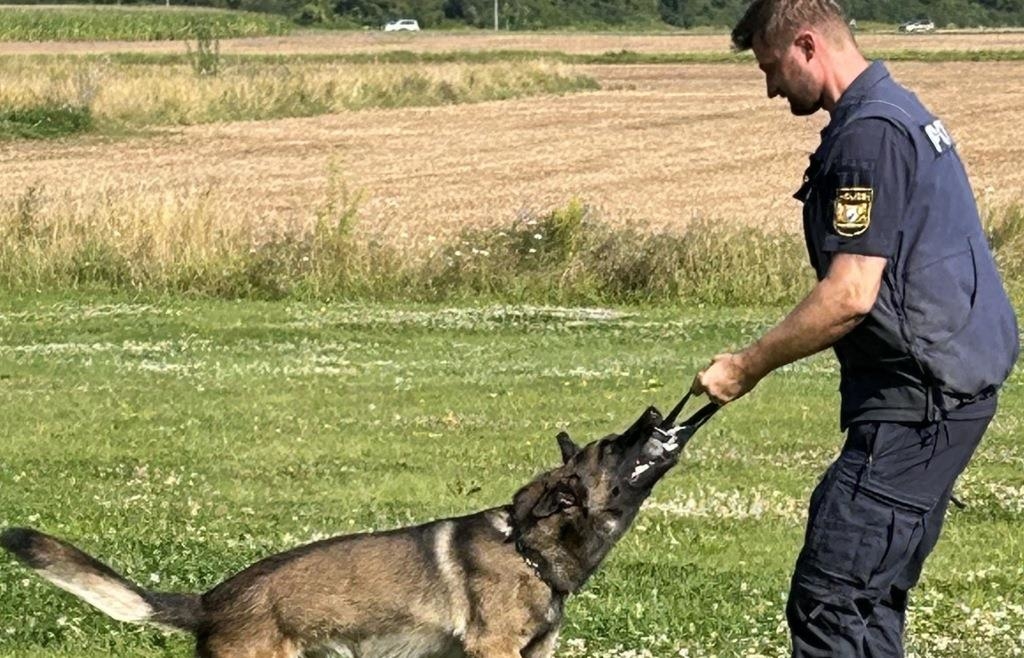 Polizeihunde gehören zur Familie des Diensthundeführers – ein Beispiel ...
