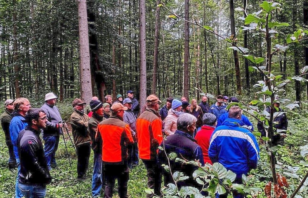 Spaziergang durch den Forst von Alexander und Herbert Riepl ist gut besucht