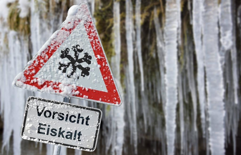 Schne Zu Verschenken Ingolstadt Ebenbild